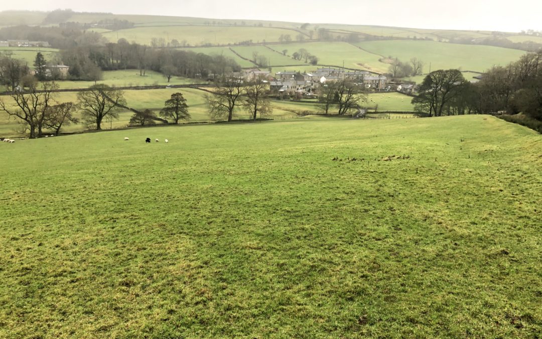 Land for Sale and Rent - David Hill Estate Agents